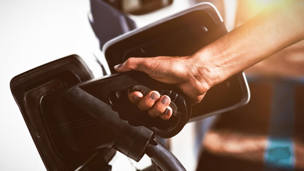 Czym różni się hybryda od hybrydy typu plug-in | TOYOTA