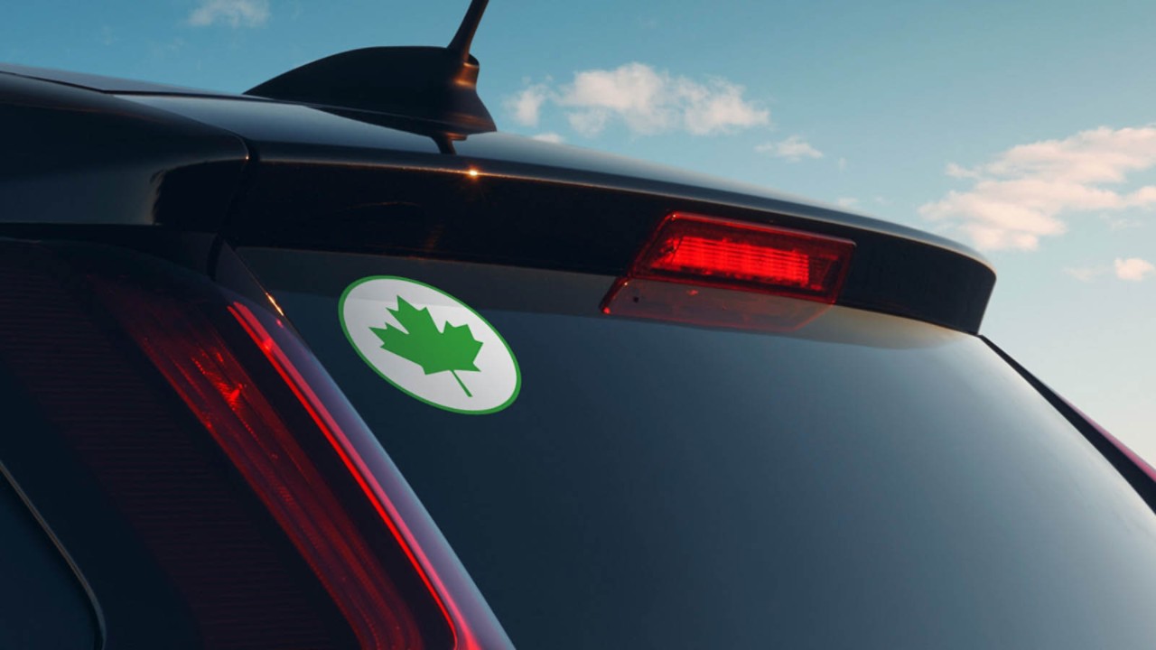 Zielony listek na tylnej szybie samochodu | TOYOTA